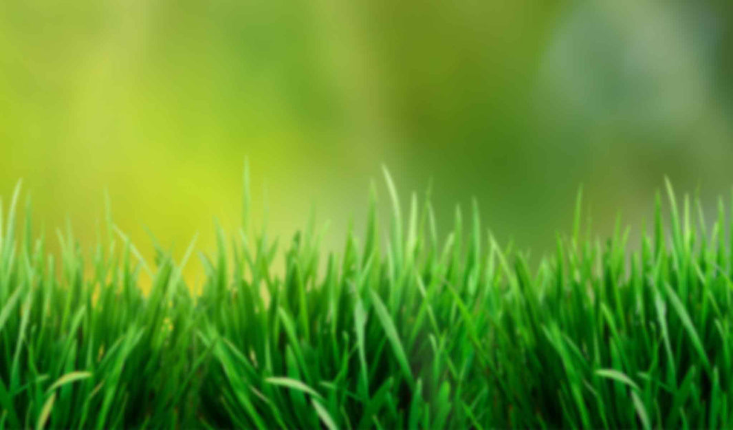 PermaGreen – PermaGreen®